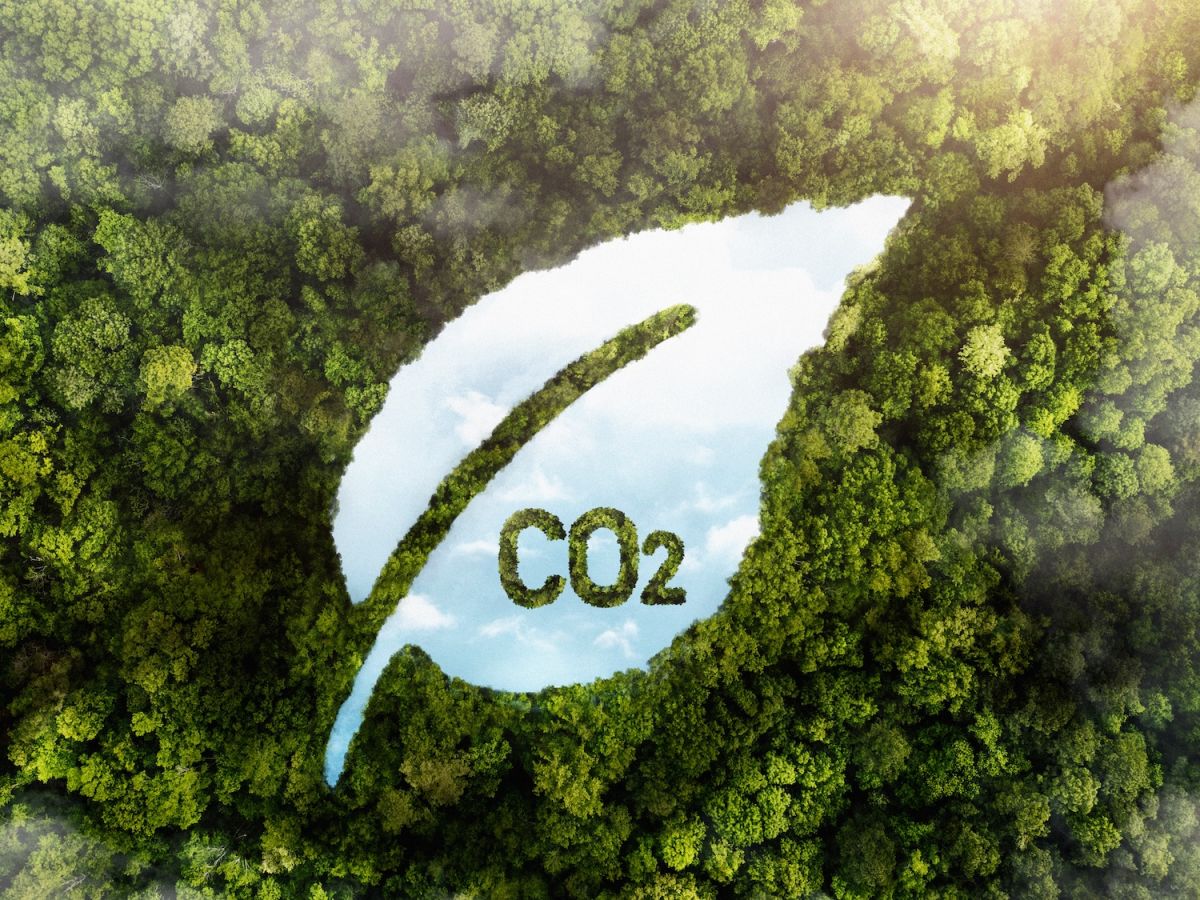 《巴黎協定》6.4條通過，COP30後將真正迎接全球碳市場啟動了嗎？ | ESG遠見 - 永續共好