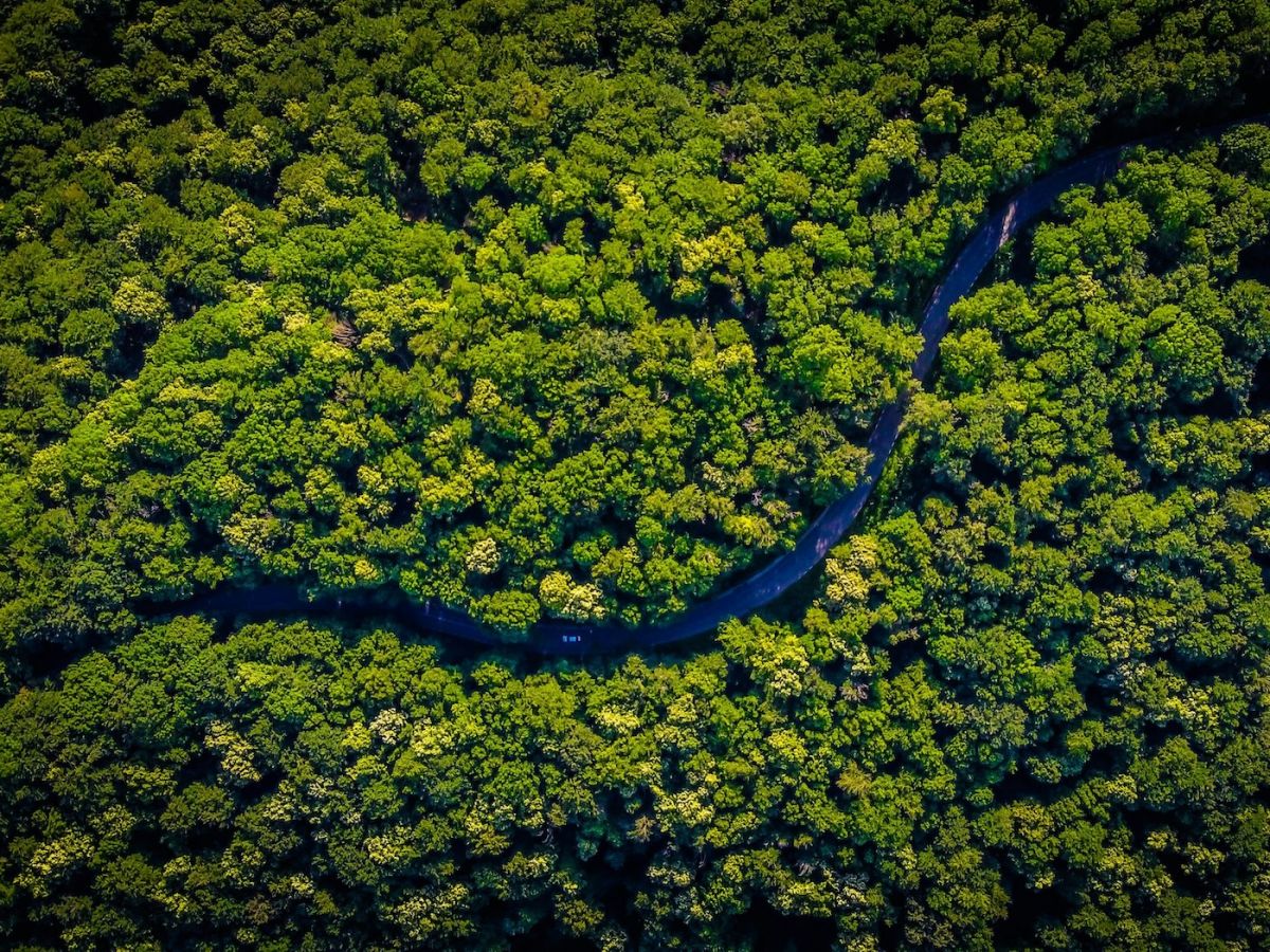 COP30焦點登場！TFFF基金如何成為引領全球投資的新關鍵？ | ESG遠見 - 永續共好